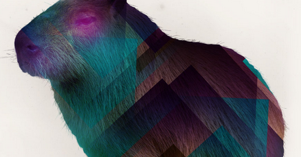 Change Default Timeout and Wait Time of Capybara