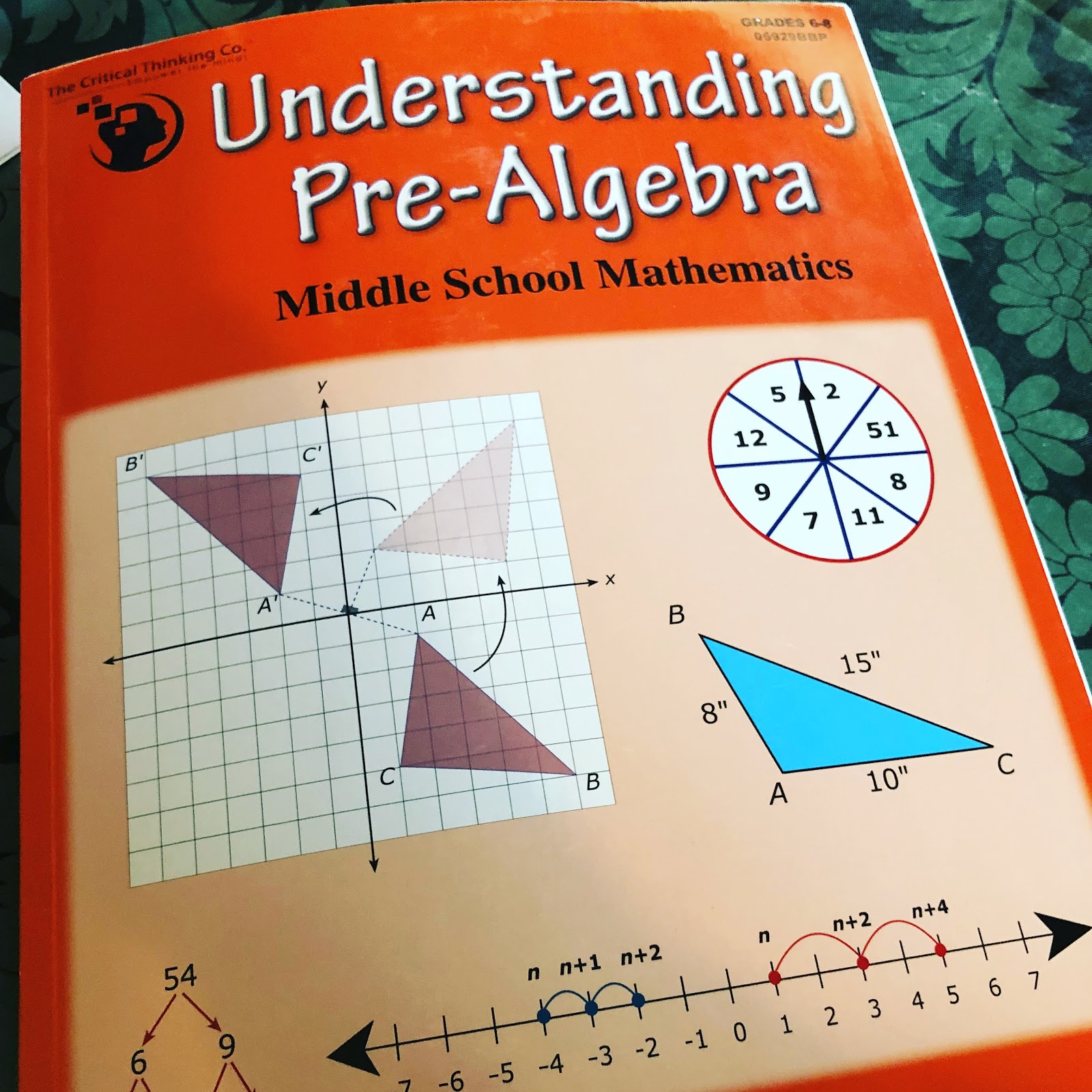 Adventures with Jude: The Critical Thinking Co.™: Understanding Pre ...