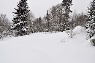 Nor'Easter Backcountry: -Trip Report- Mt. Hor, VT: Insert Inappropriate ...