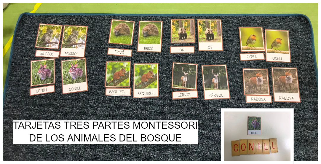 LA CLASE DE MIREN: mis experiencias en el aula: RECONOCEMOS LOS NOMBRES ...