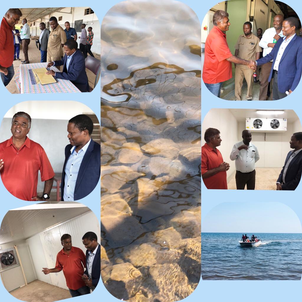 HABARI MIFUGO NA UVUVI