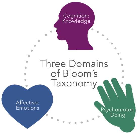 Affective domain assessment