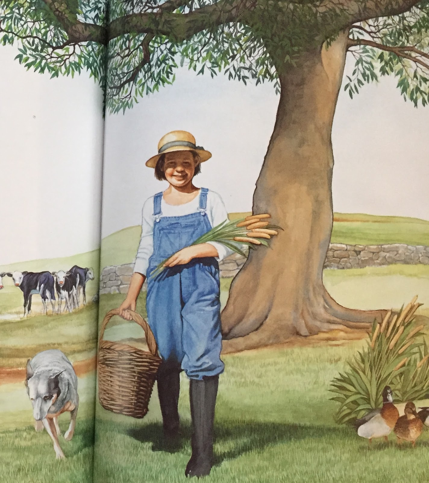 Picture Book Theology: All Things Bright & Beautiful