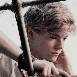 Newt x Fem! Reader x Thomas