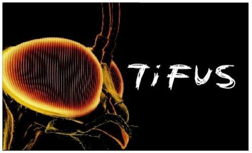 Penyebab, Gejala Serta mengatasi Penyakit Tifus ~ D.O "Daily Online"