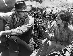 Laura's Miscellaneous Musings: Tonight's Movie: The Bounty Man (1972 ...