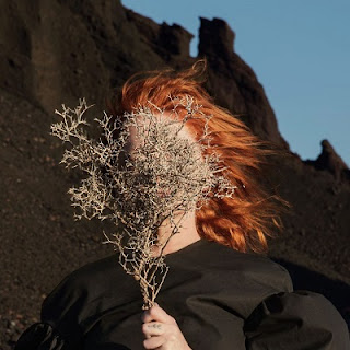 Mainstream Music Madness: Goldfrapp - Discography