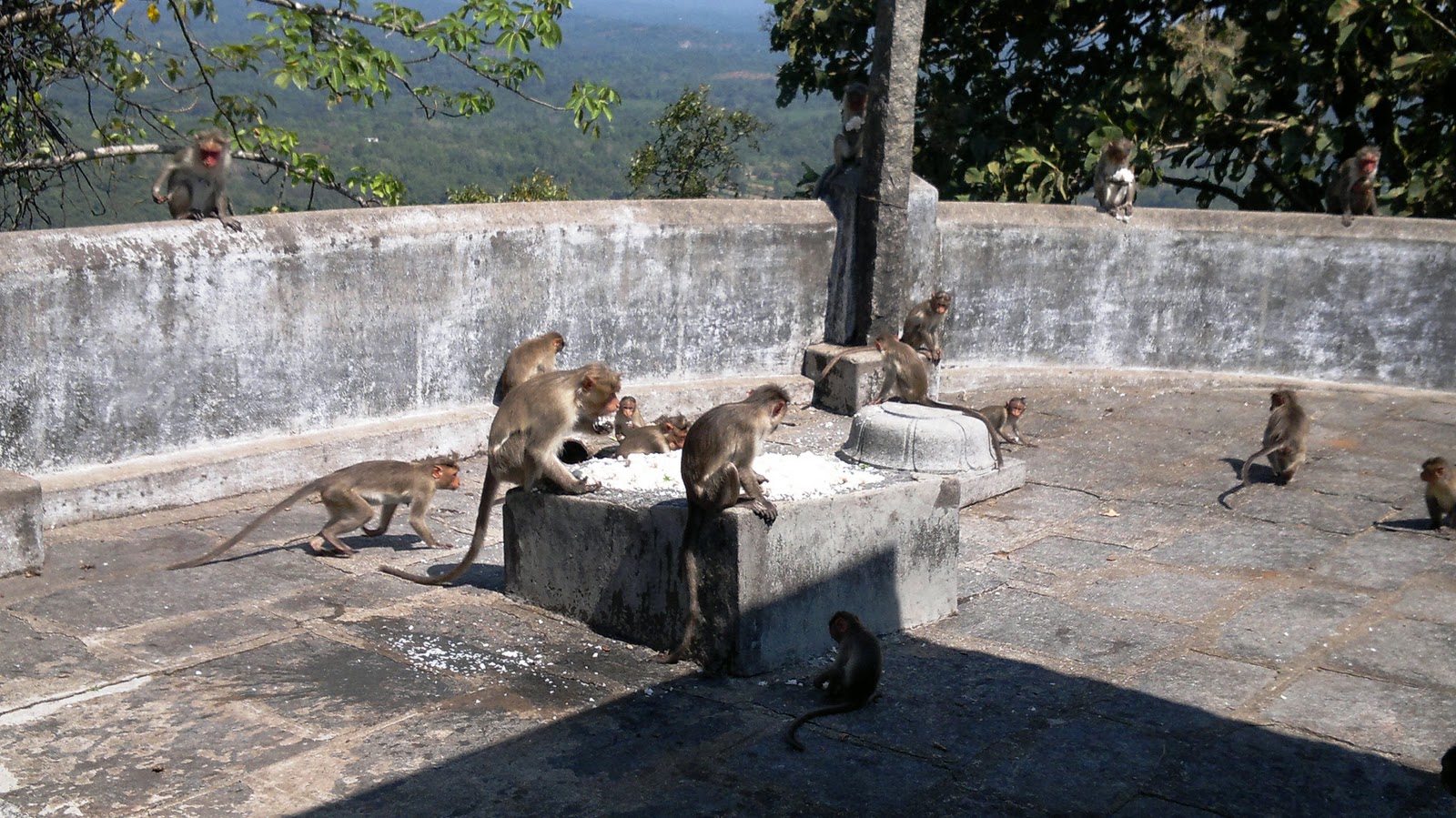 Celebrate with Bangalore Press: Karinjeshwara Temple, Karinja, Bantwal