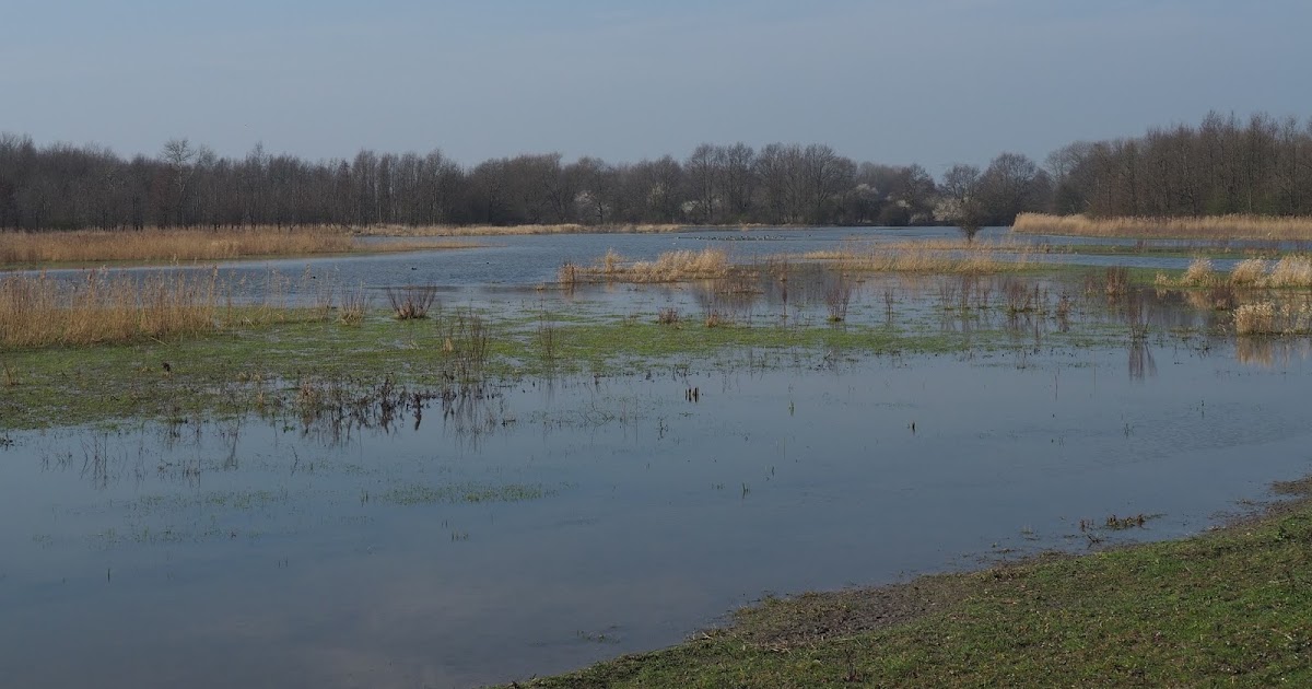Waterplas