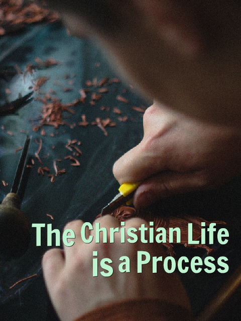 Daily Grace, Todays Godly Reminder , Bible Quotes, Verses, Prayers ...