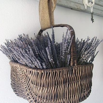 50 Classic and Unexpected Basket Fillers We Think You'll Adore ...