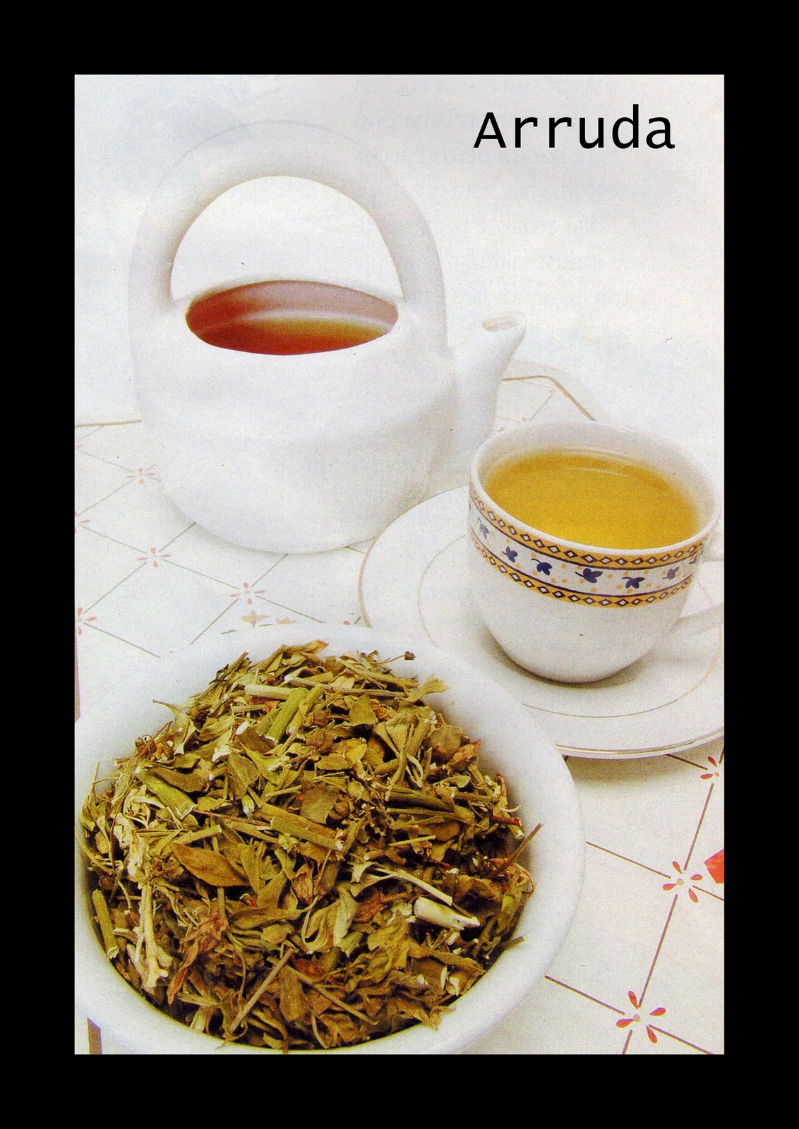 Chás & Especiarias: CHÁS MEDICINAIS #2