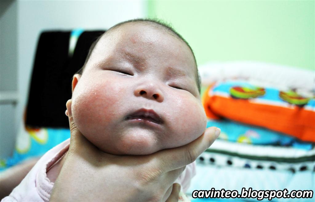 Entree Kibbles: Invasion of The Bulldog-Cheeks Baby