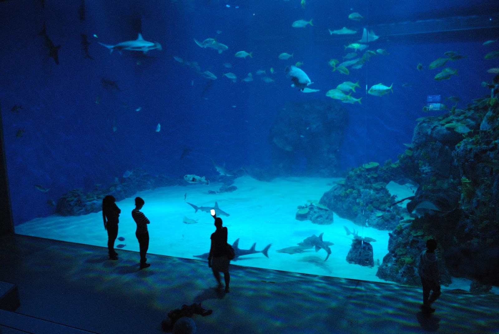 i n n a i a: Kodaň...