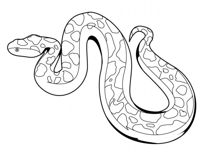 Sketsa Mewarnai Terbaru Gambar Ular Kartun Terbaru | kreasi dunia anak ...