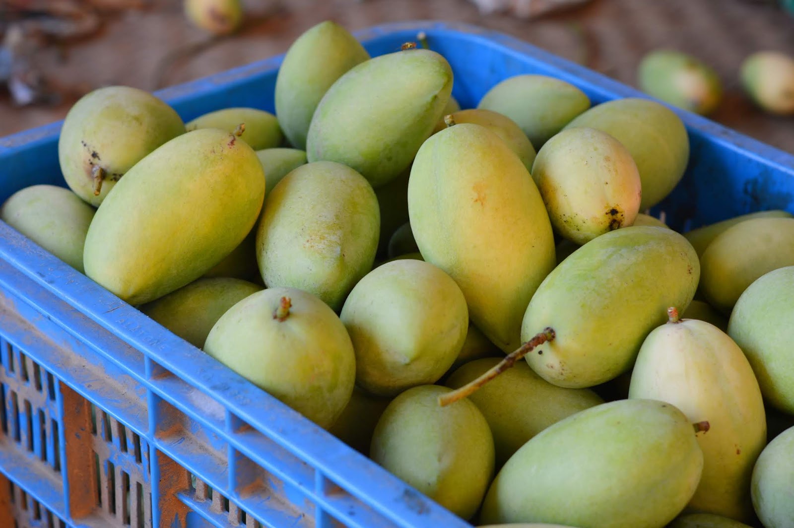 Guimaras Travel Guide For First Time Travelers - The Pinoy Traveler