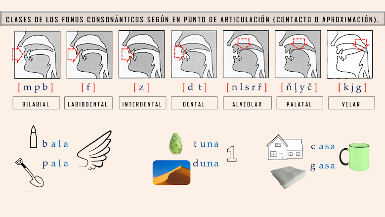 FONOLOGÍA Y FONÉTICA