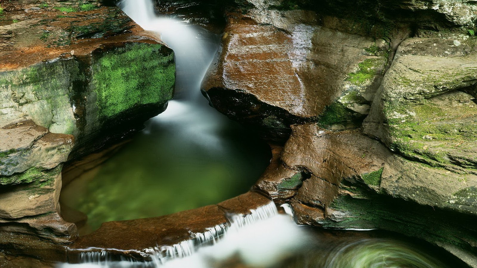 My Amazing Things Blog: Amazing Nature