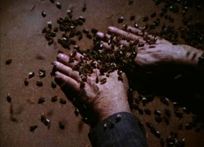 John Kenneth Muir's Reflections on Cult Movies and Classic TV: The Cult ...
