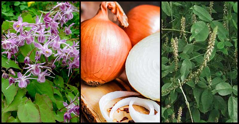 Herbs That We Can Use Against Boils | Dr Farrah MD
