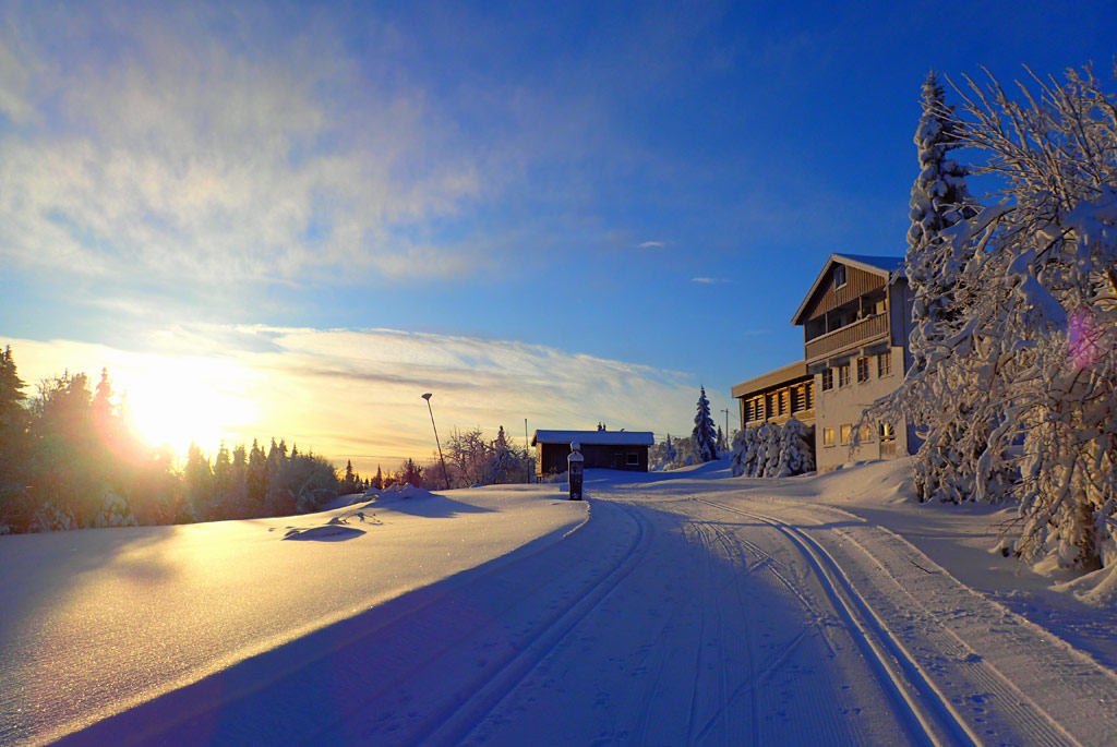 Tarjei's Villmark: Kald drømmedag i Nordmarka