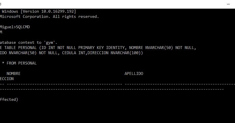 CREAR TABLA EN SQL SERVER (CMD) ~ SOFTBLESS
