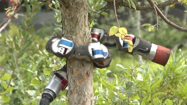 Snake Robot Climbs a Tree - Latest Technology Products