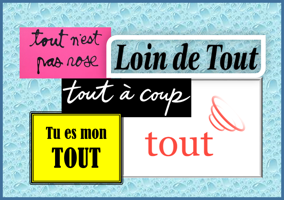 Aul@ de Fr@ncês: B.O/N2 - Exp. Idiom. Avec le mot TOUT