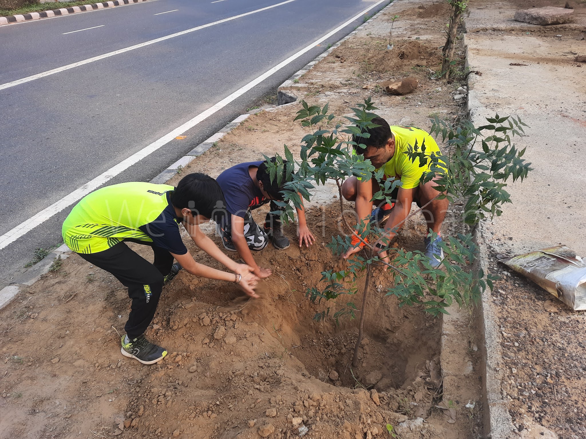 We Planted 60+ Native Trees in Dwarka