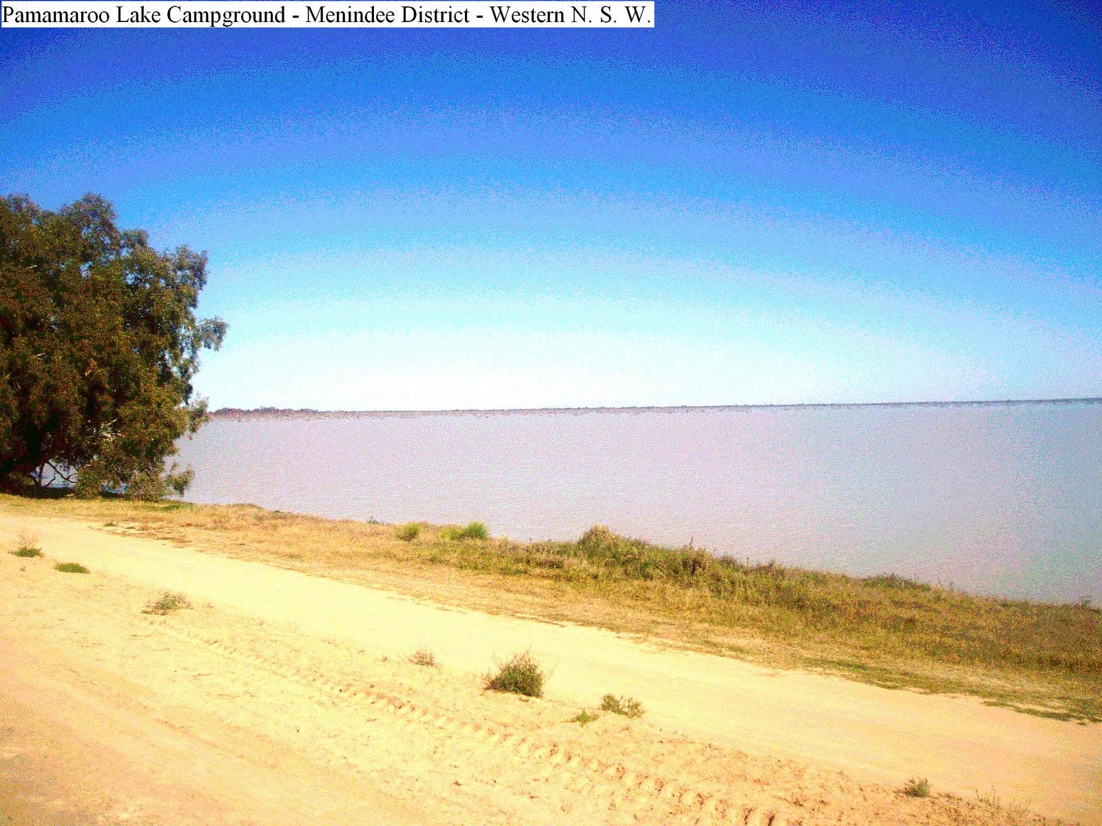 Nannapop N.S.W. And ACT Return to Main Site: 4th September 2011 ...