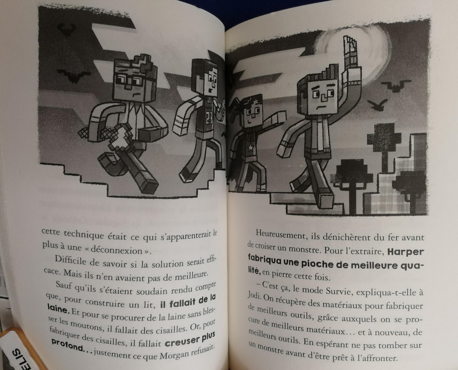 Les lectures jeunesse (et quelques autres) de Jangelis: Minecraft ...