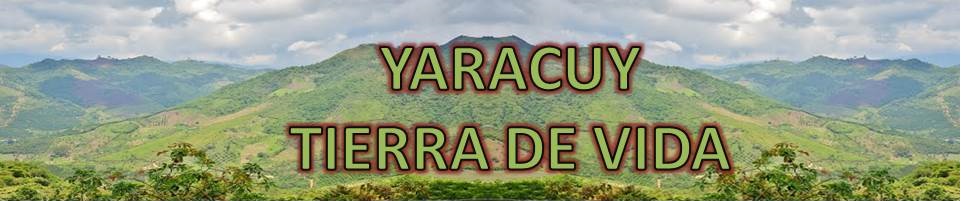 YARACUY TIERRA DE VIDA: DIVISIÓN POLÍTICO-TERRITORIAL Y SIMBOLOS DE YARACUY