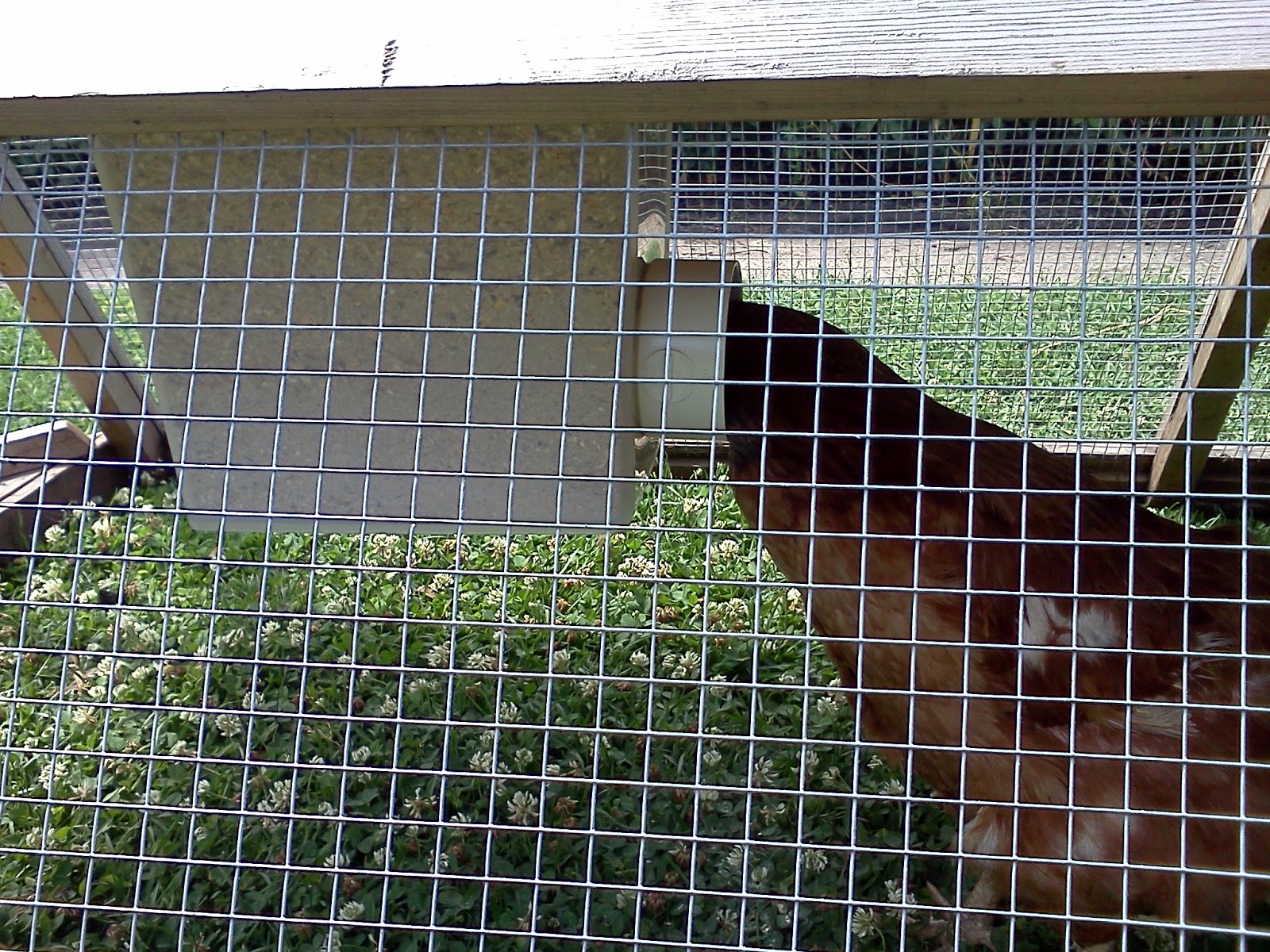 Making a Life: Chicken Ark Upgrades: Building a No-Mess, Hassle-Free Feeder