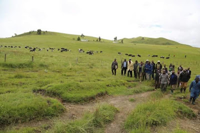 Why Invest in Agriculture and Livestock Sectors in Tanzania?