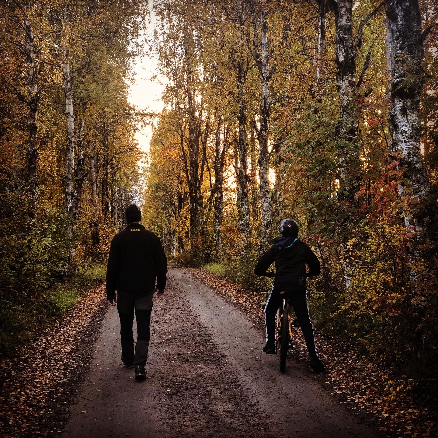 Pajala Sunrise: Tussis (nej, det är inte namnet på en katt)