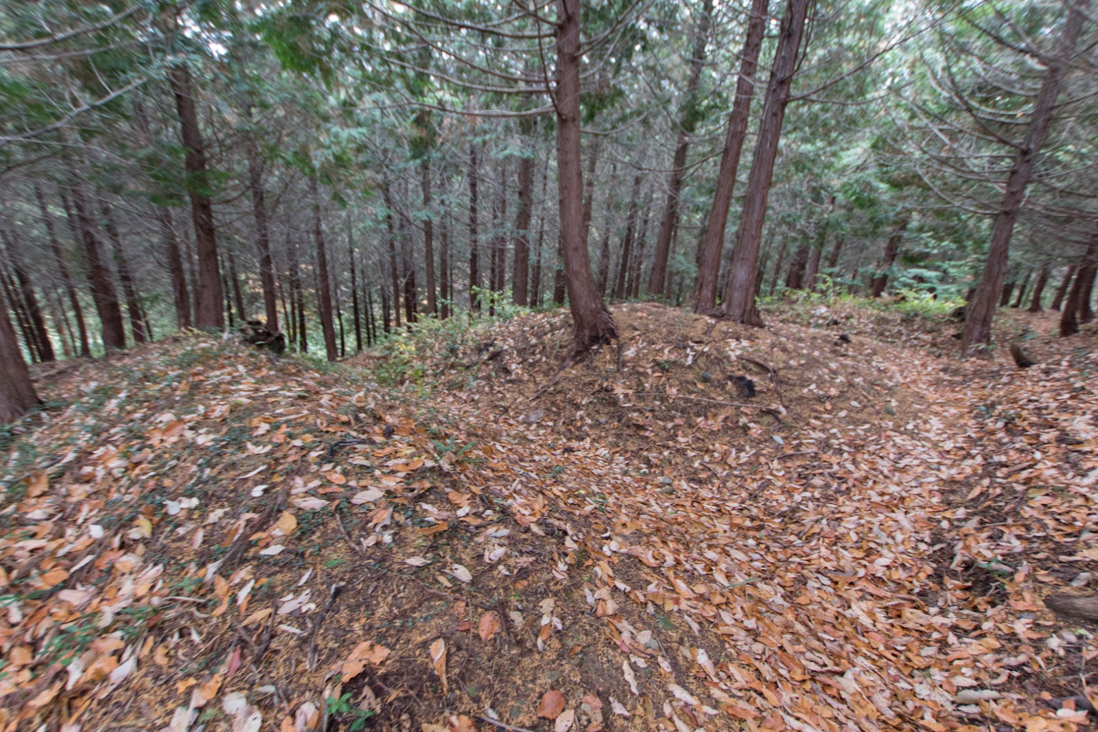 Obasawa Castle -Numerous dry moat defense line toward strong relative ...