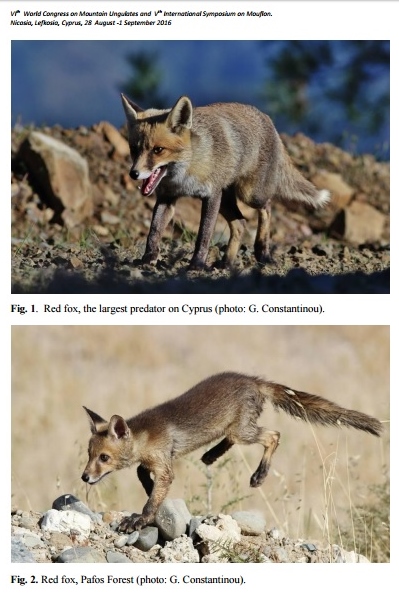 Biodiversity of Cyprus by NGO Protection of the Natural Heritage and ...