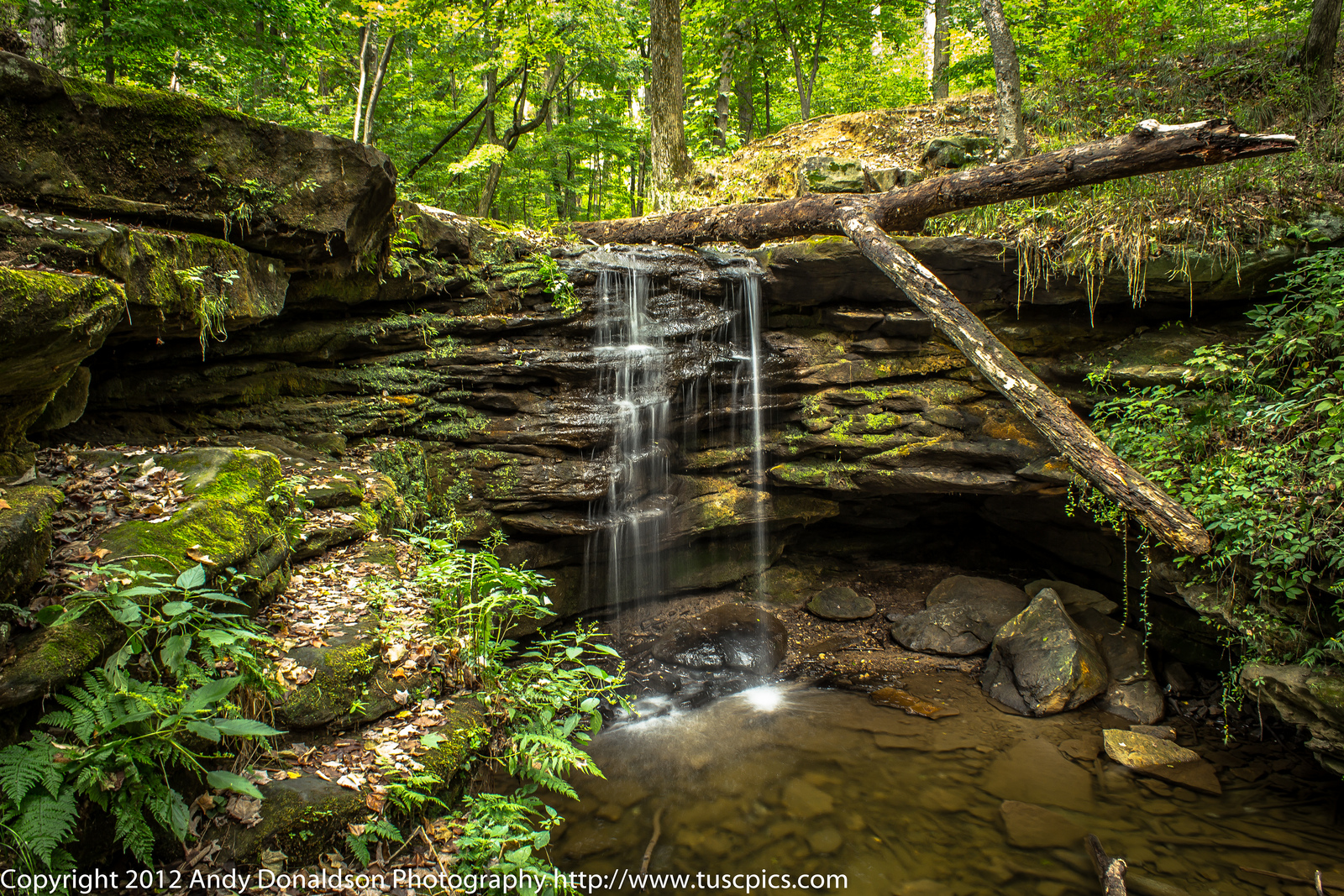 Welcome to the blog of Andy Donaldson Photography: Top 12 of 2012 ...