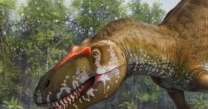 Species New to Science: [Paleontology • 2014] Torvosaurus gurneyi • the ...