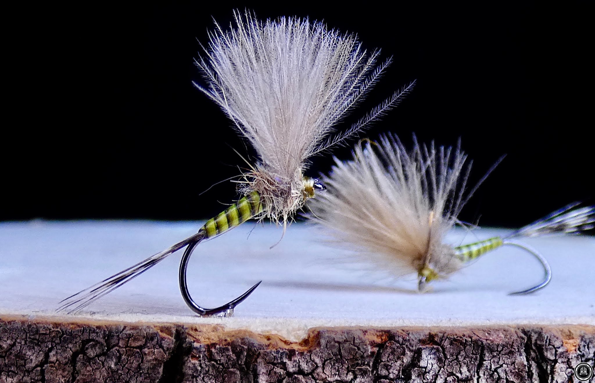 Fly tying QUILL & CDC RHODANI
