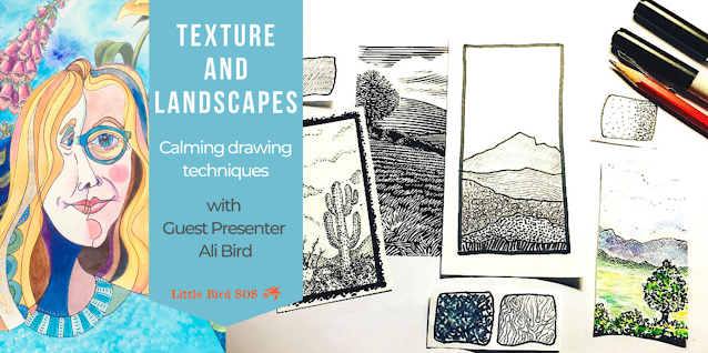 Texture and Landscapes