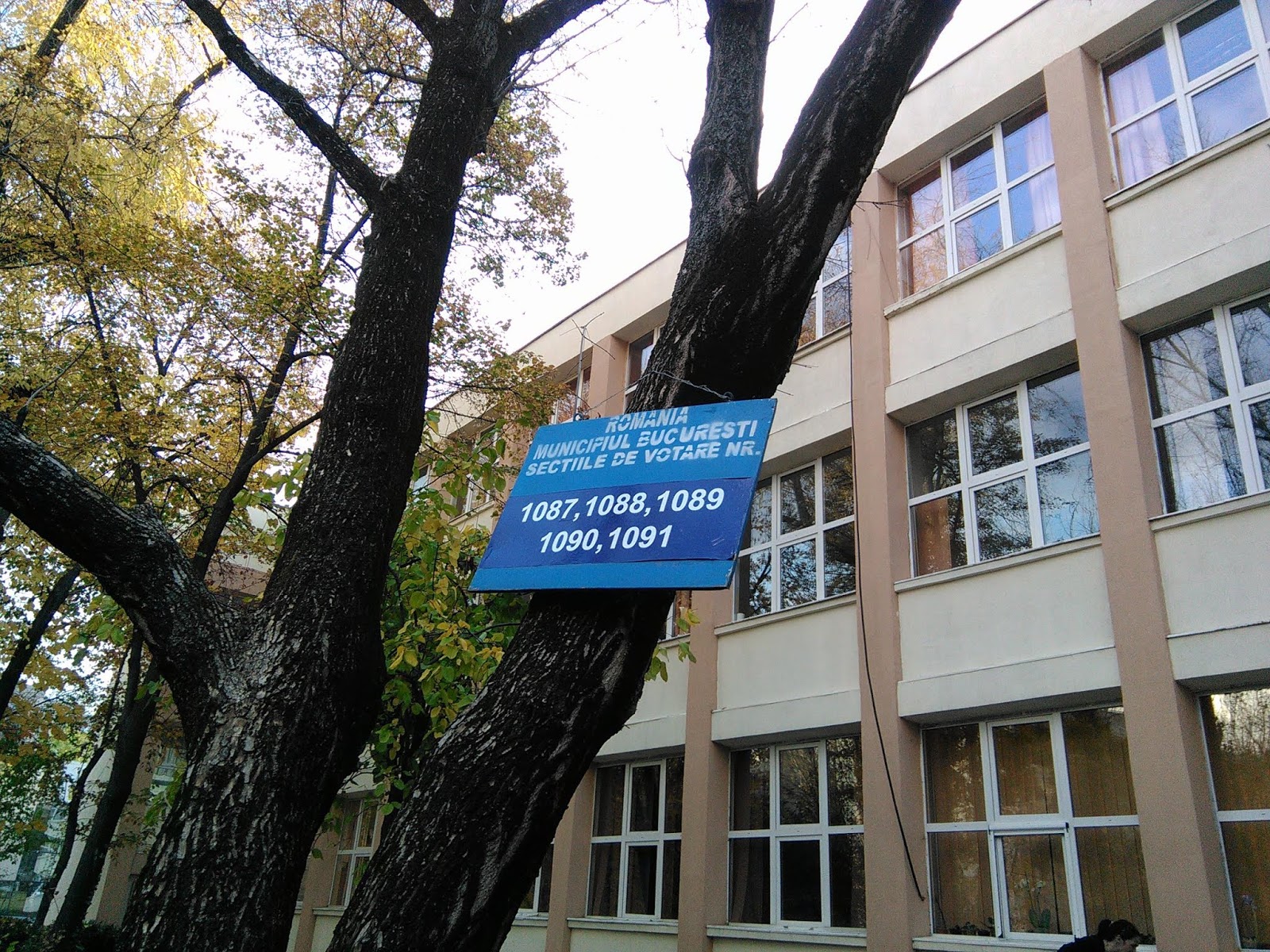 oliviamaria(nicolae)marcov: bucharest, romania: 10 Noiembrie 2019 ...