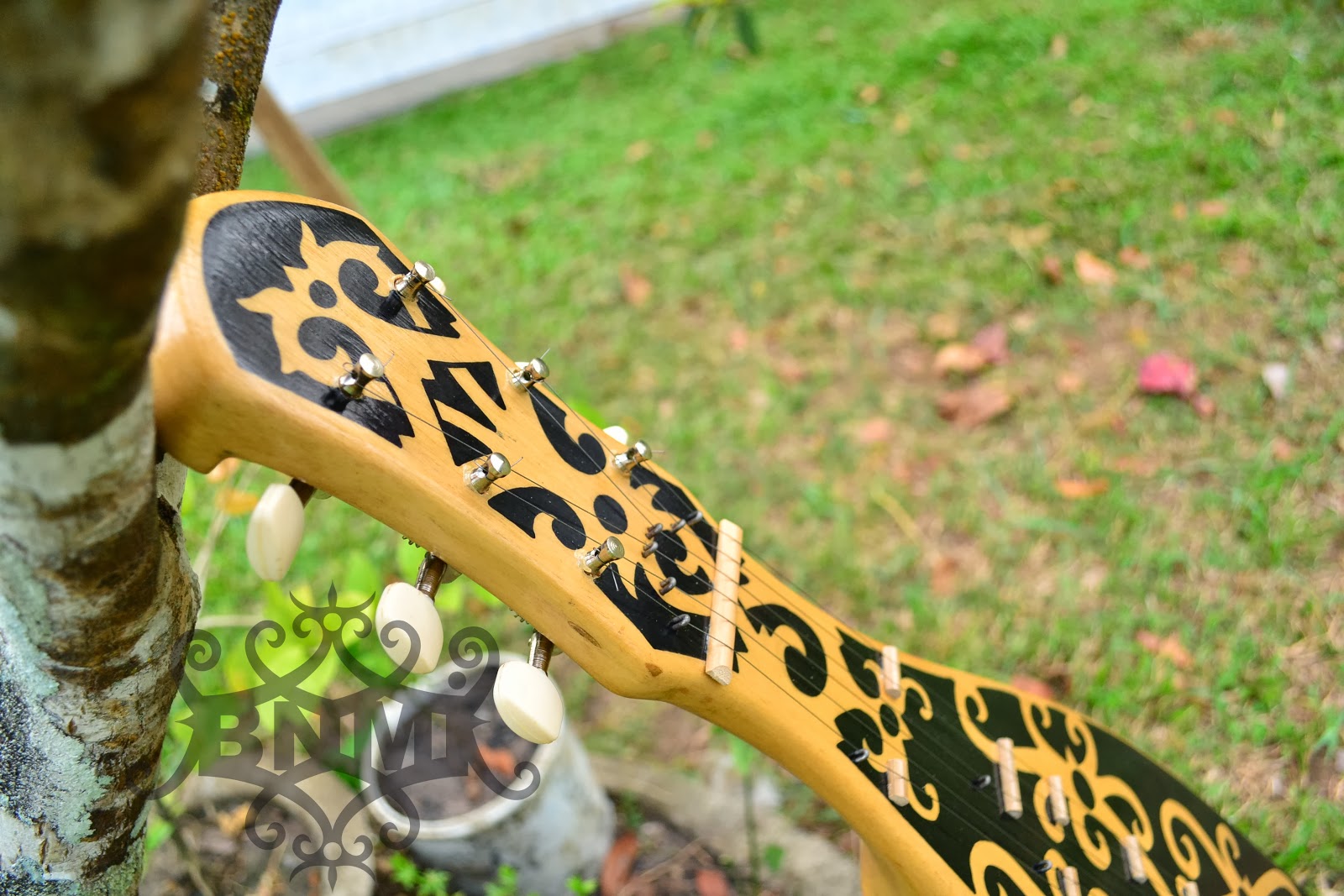 Borneo Native Musical Instrument: Sape' 3