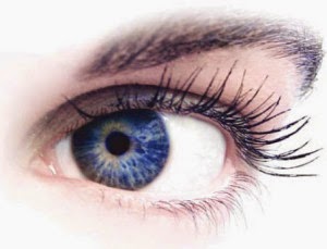 Bagian-Bagian Mata Dan Fungsinya