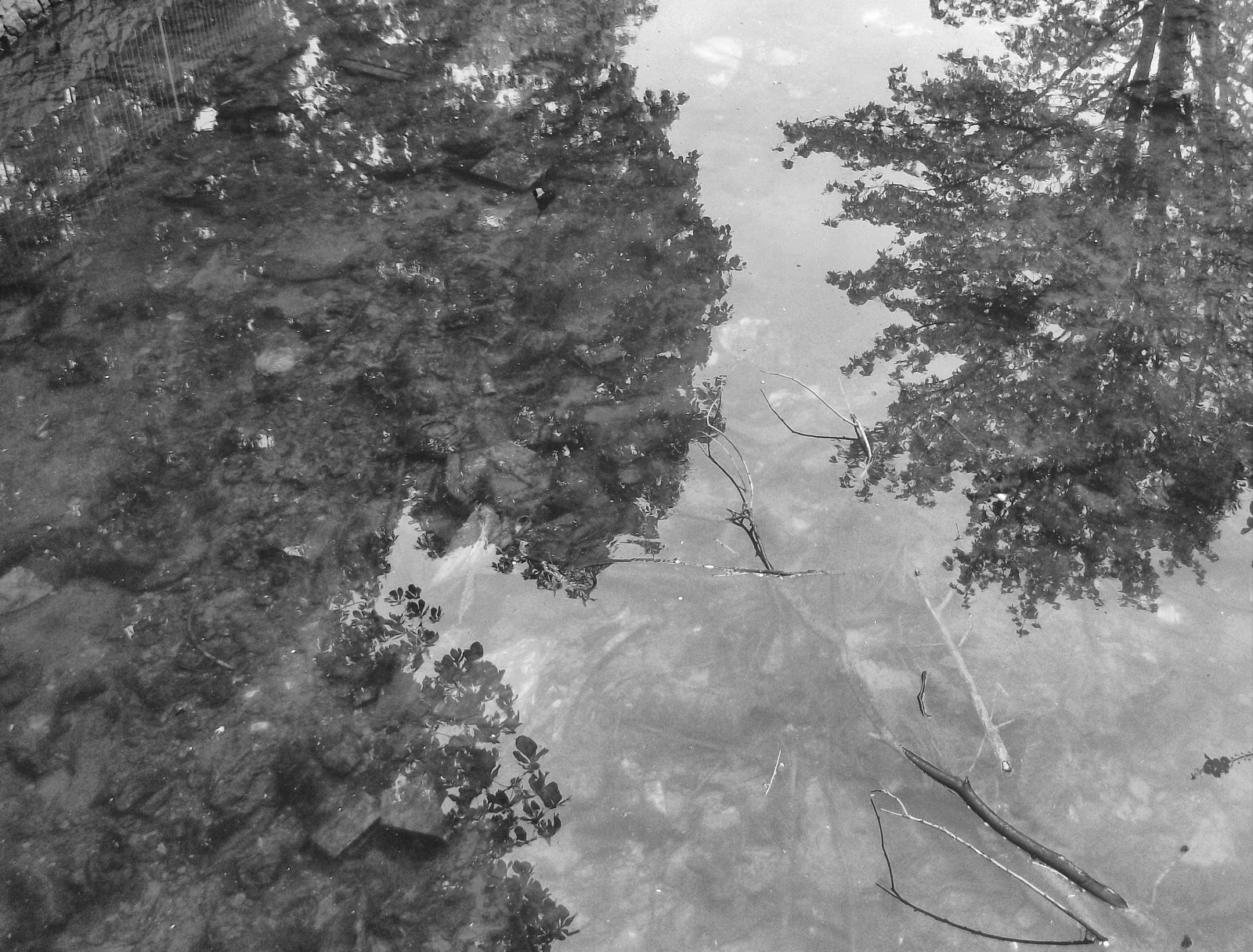 Andrew Lucas Photography