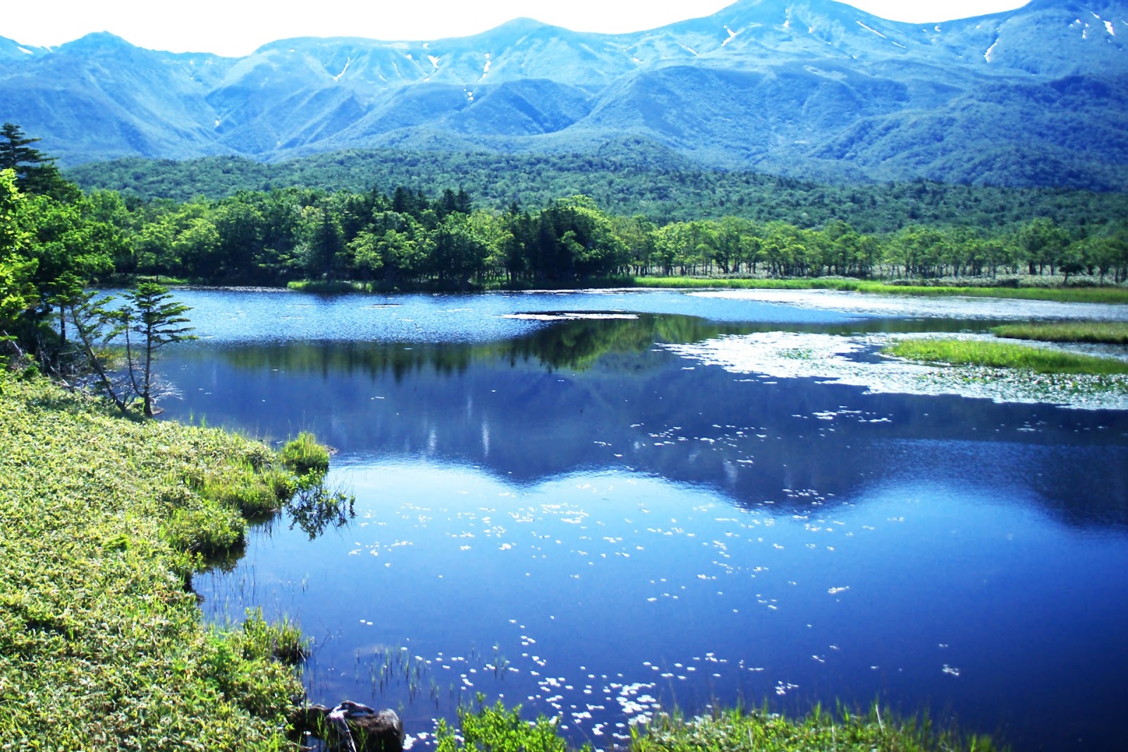 What's up Japan: Shiretoko National Park