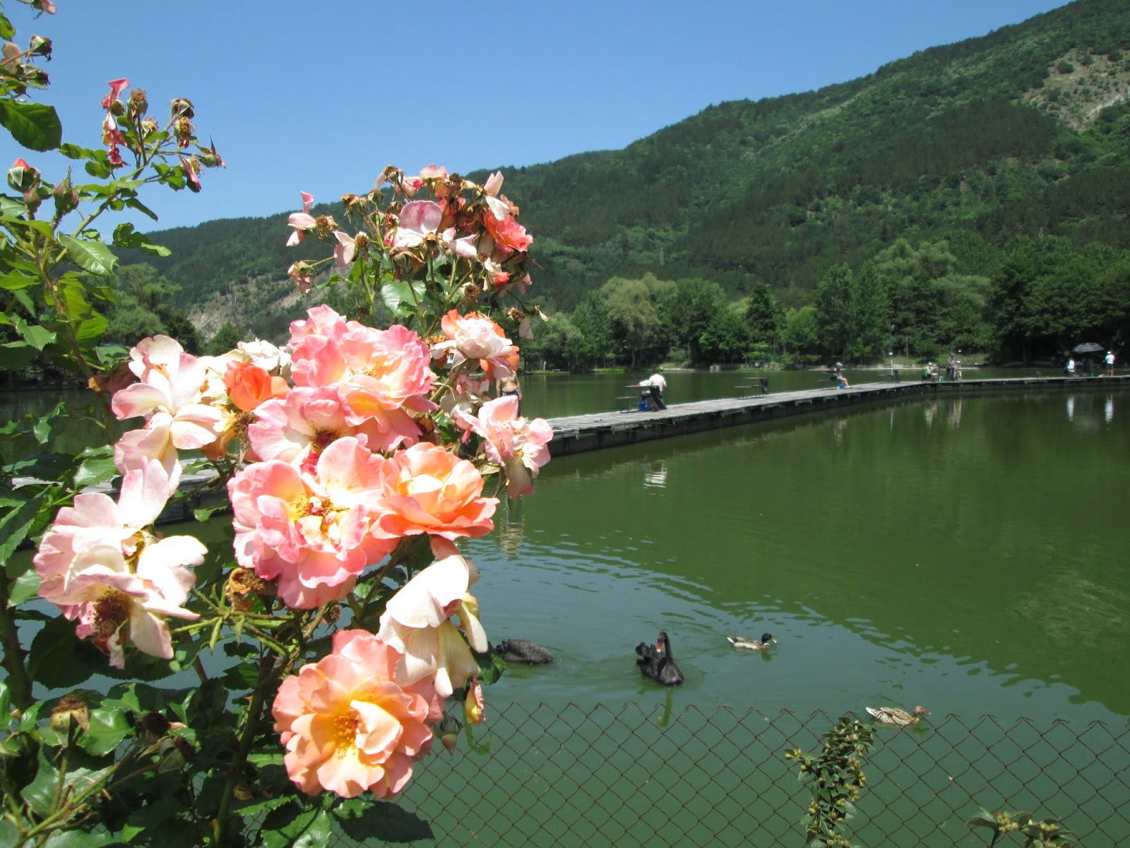 My Life in Sofia: Murky waters of Pancharevo, a Sofian's weekend escape