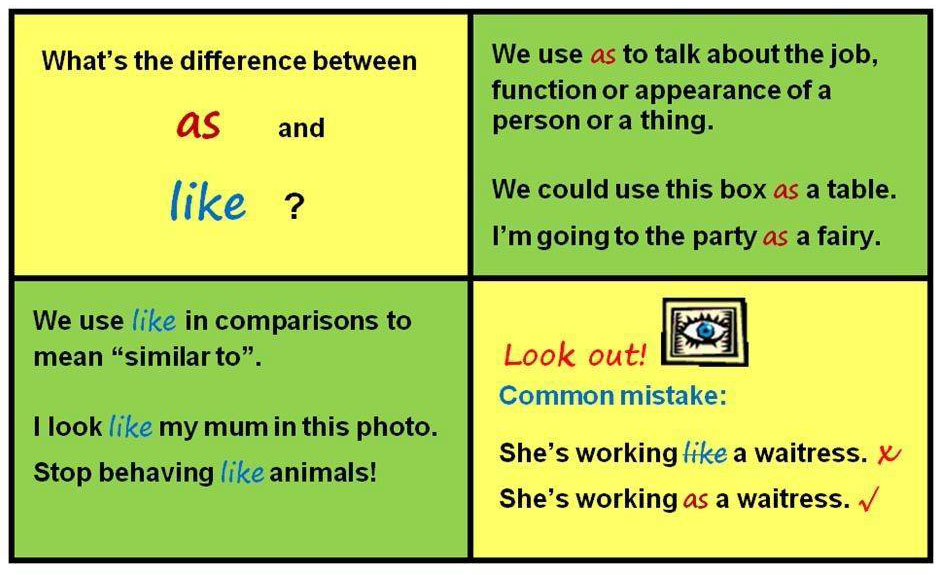 El blog de Miss Martha