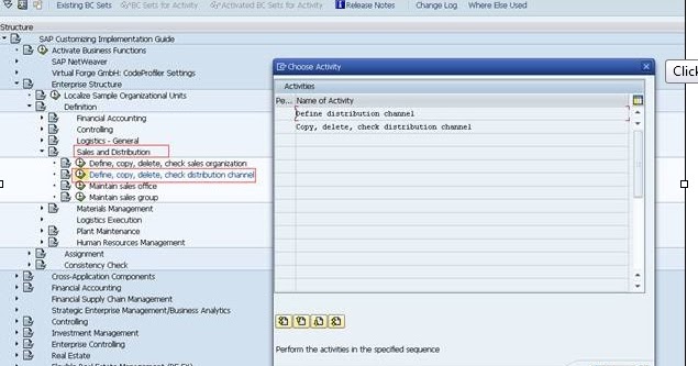 SAP Functionals: Distribution Channel