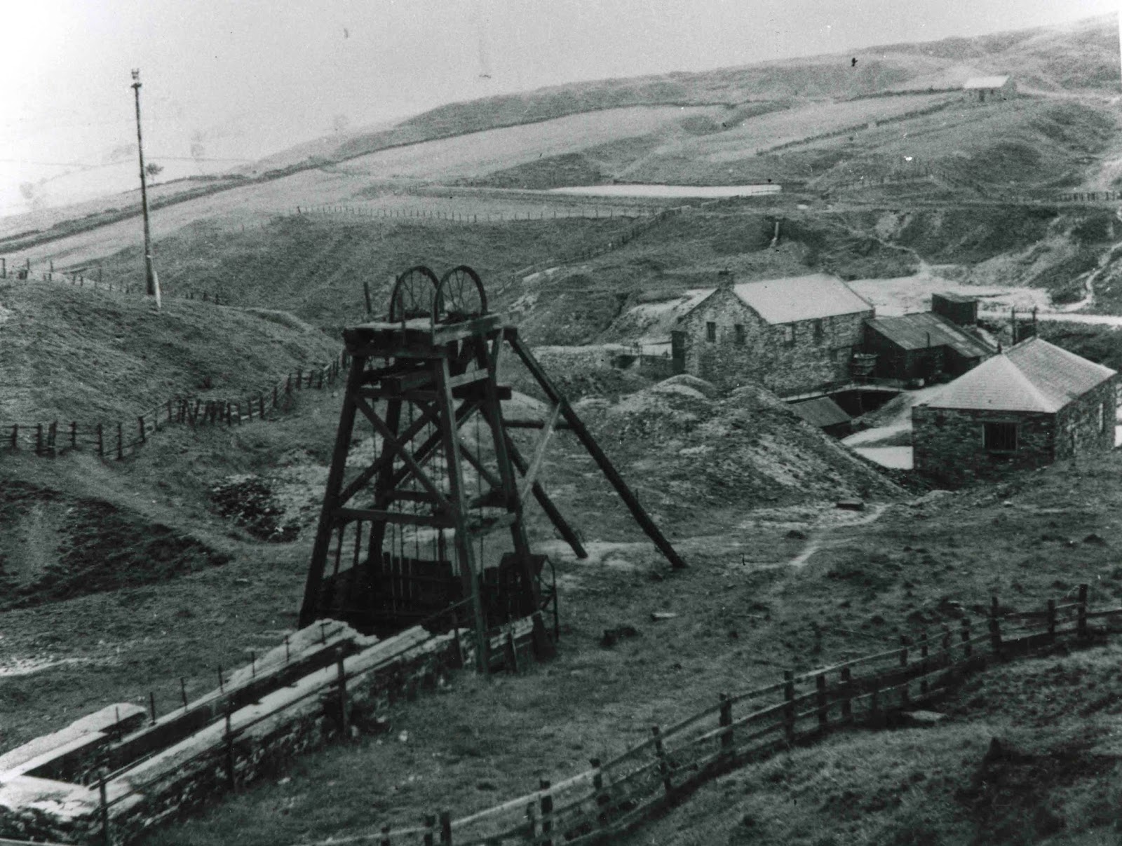 Heather in Cowshill: Burtree Pasture mine
